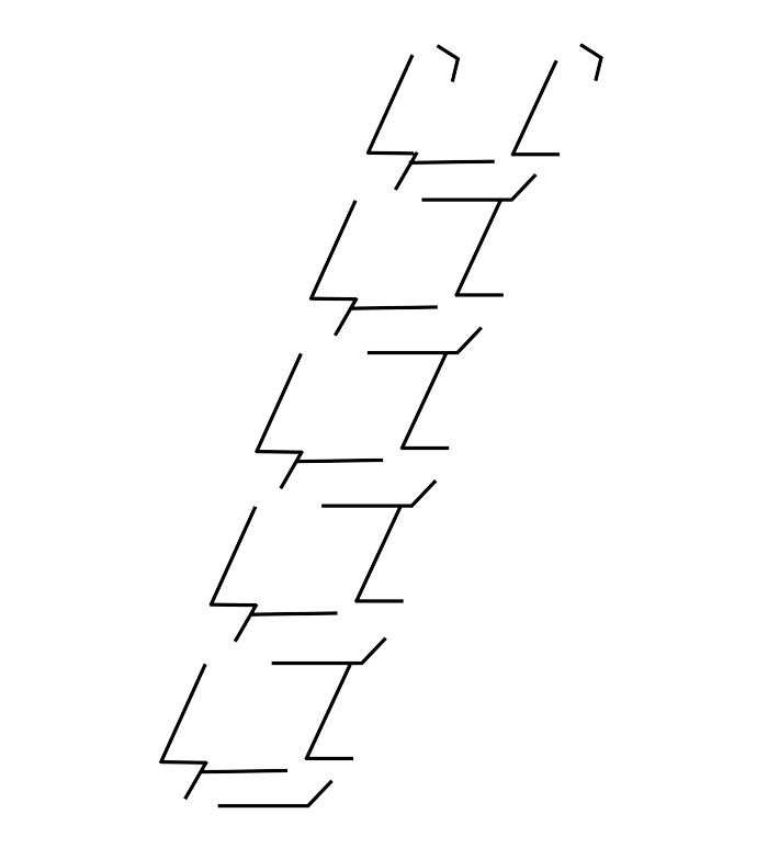 expertise | Maxim Partners